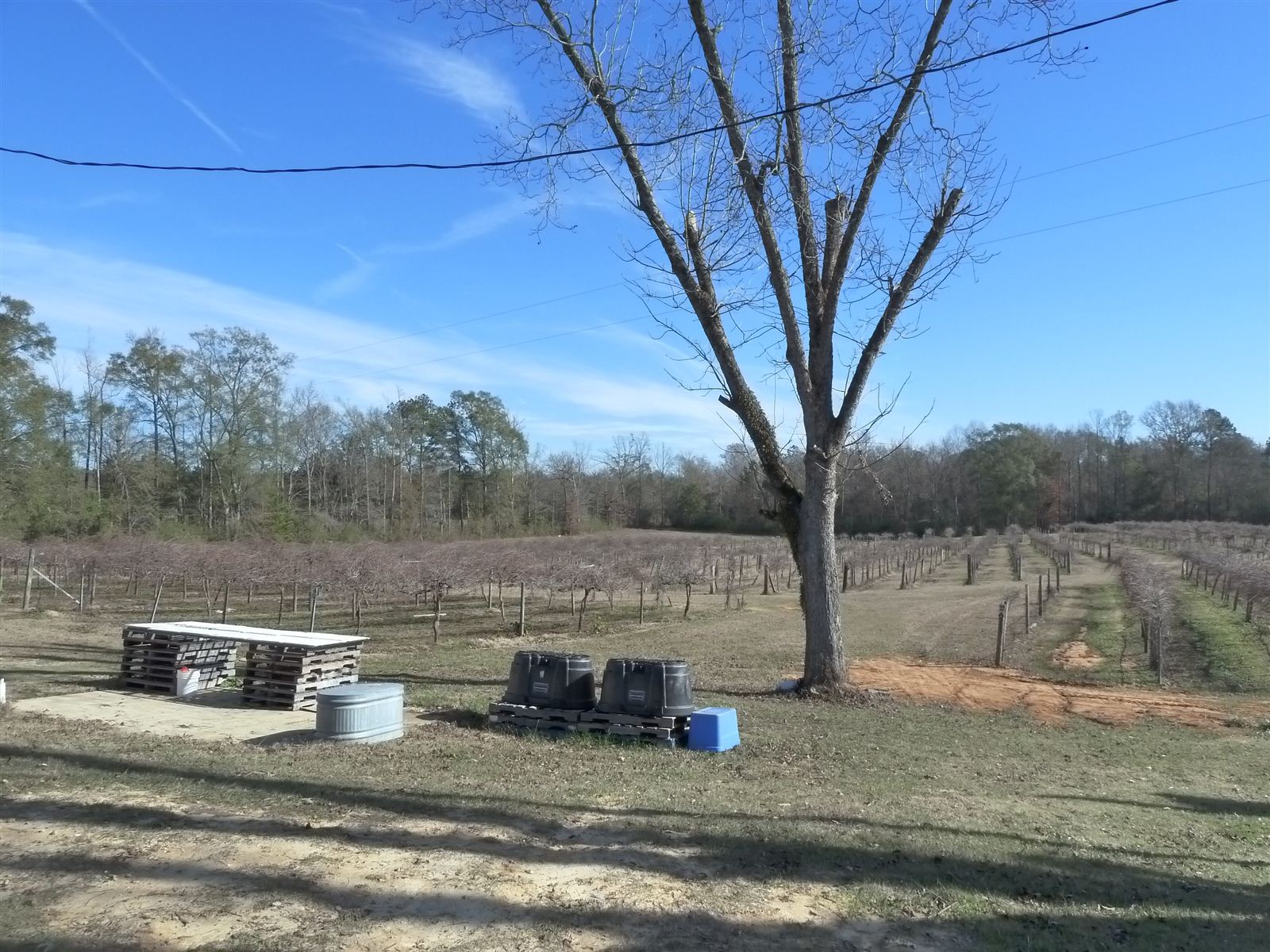 Locations Hub - Cooper Farms & Vineyard