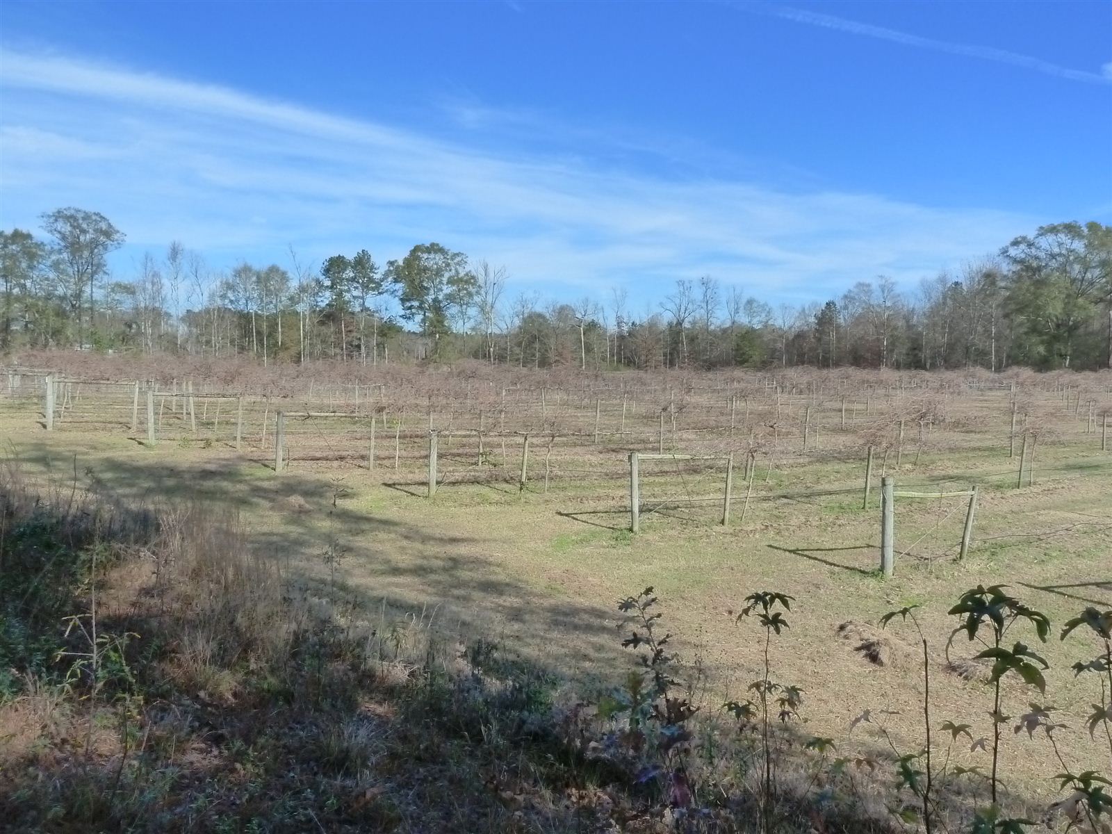 Locations Hub - Cooper Farms & Vineyard