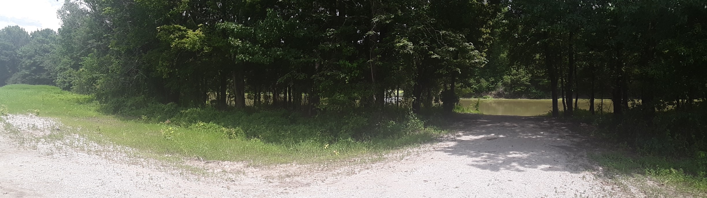 Locations Hub - Panther Swamp National Wildlife Refuge