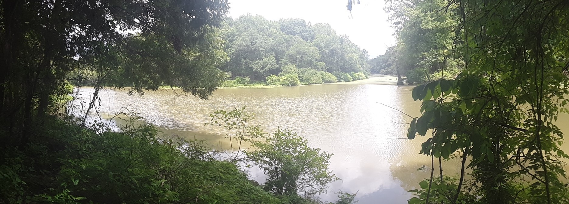 Locations Hub - Panther Swamp National Wildlife Refuge