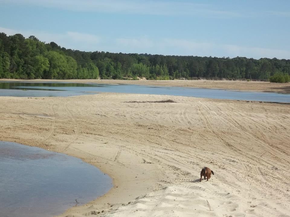 Locations Hub - Camp Ridge Point