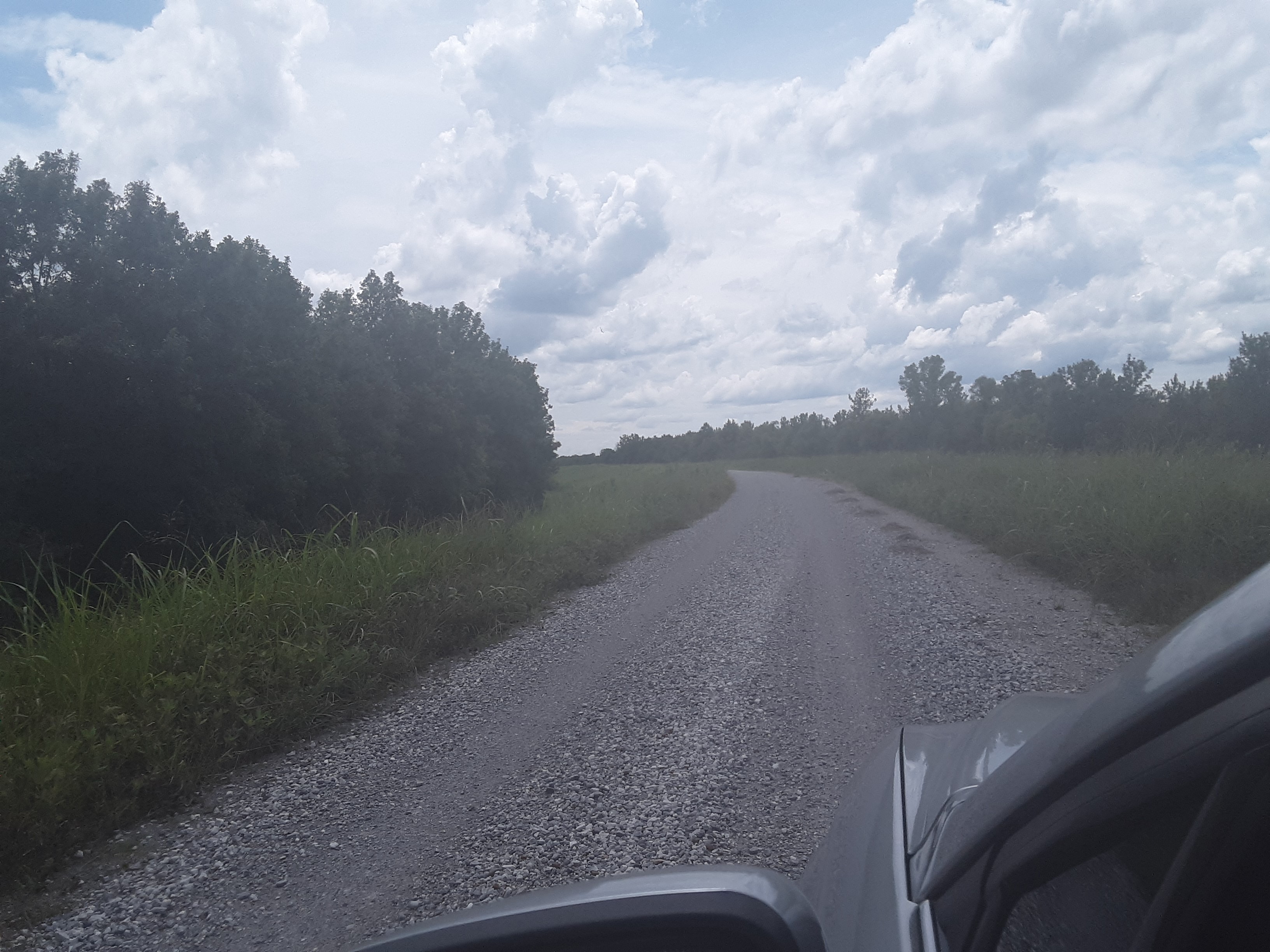 Locations Hub - Panther Swamp National Wildlife Refuge