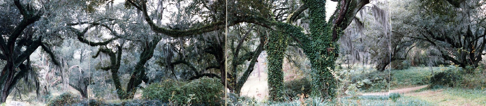 Locations Hub - Saragossa Plantation