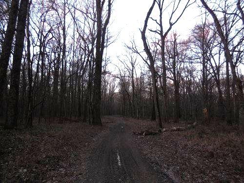 Locations Hub - Delta National Forest