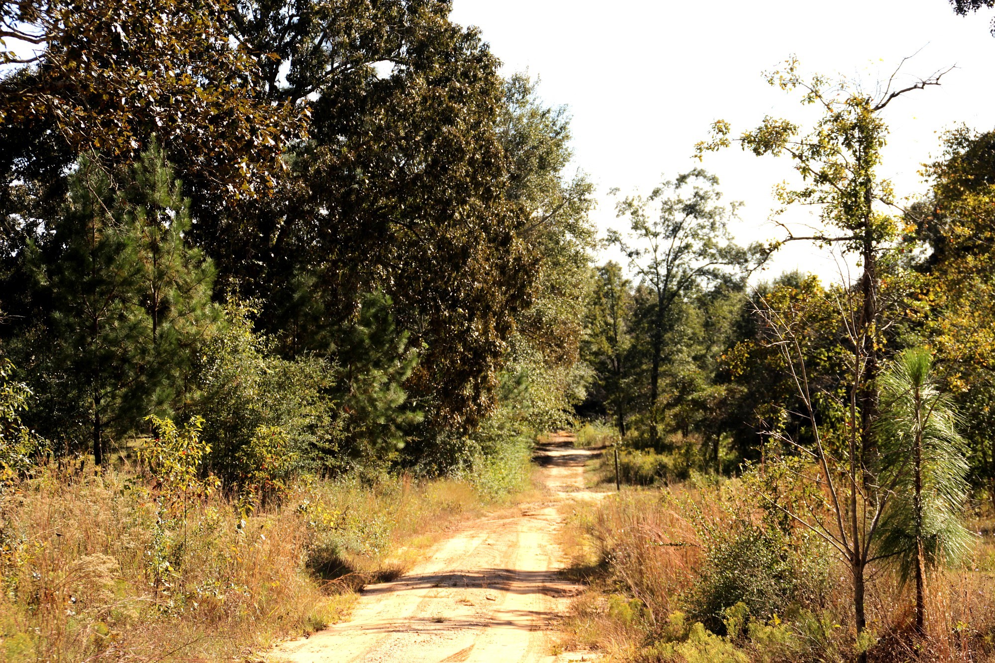 Locations Hub - Kings Arrow Ranch