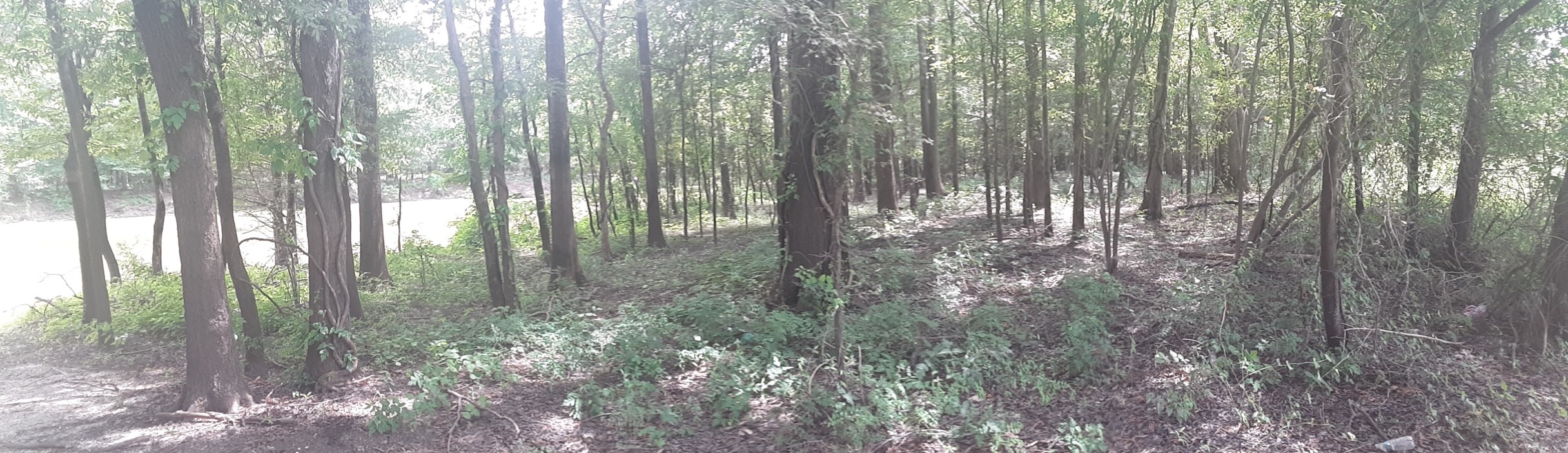 Locations Hub - Panther Swamp National Wildlife Refuge