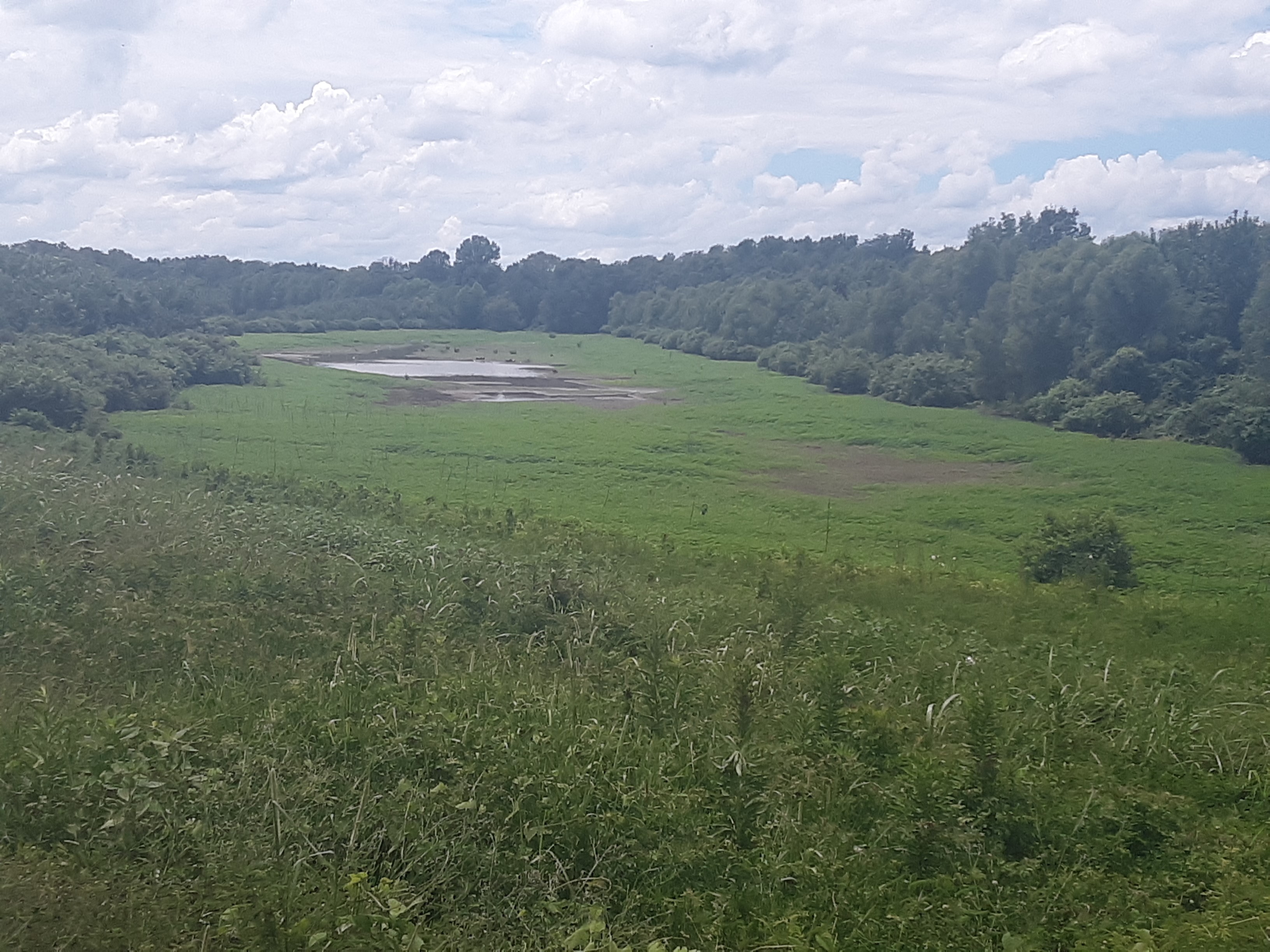 Locations Hub - Panther Swamp National Wildlife Refuge