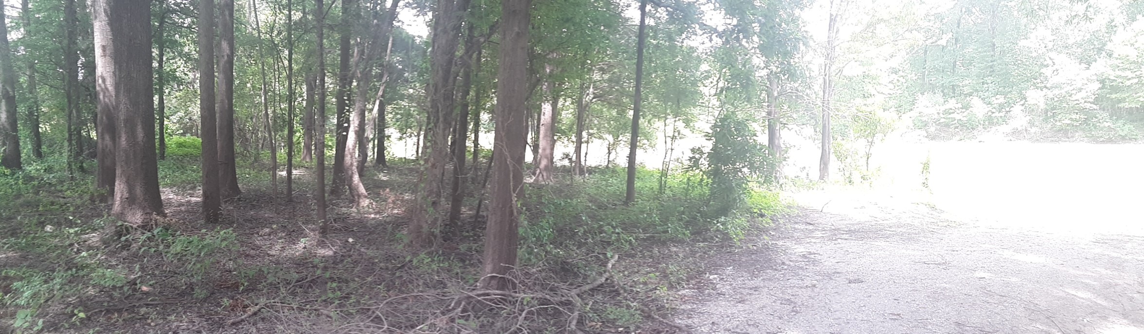 Locations Hub - Panther Swamp National Wildlife Refuge