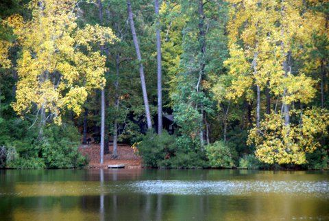 Locations Hub - Clarkco State Park