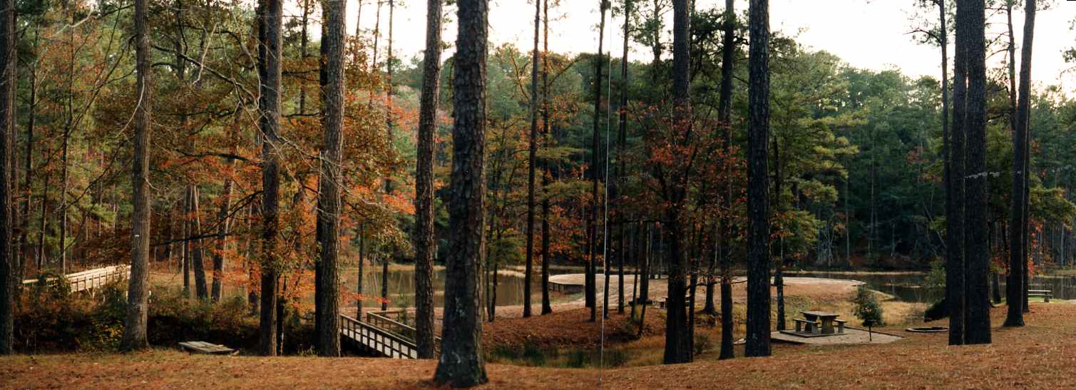 Locations Hub - Homochitto National Forest