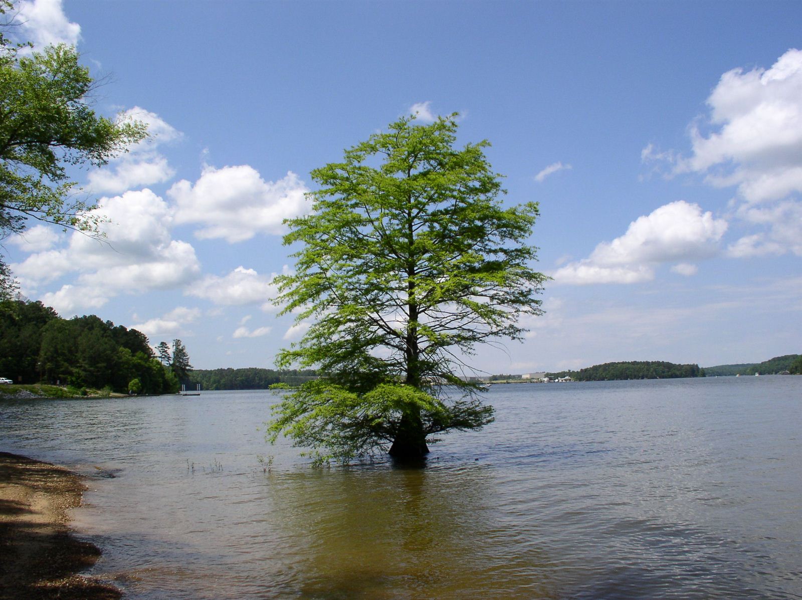 Locations Hub - Pickwick Lake