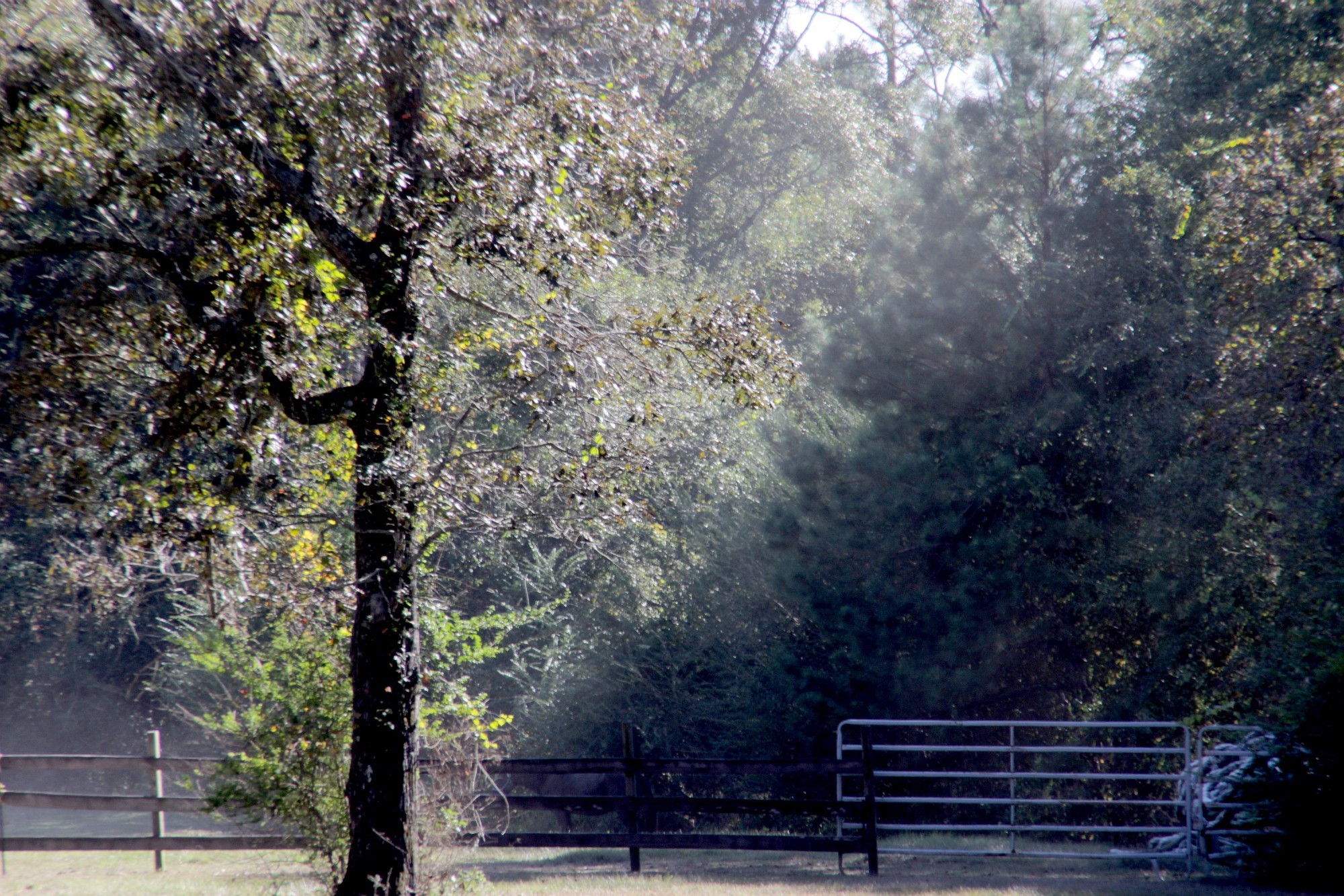 Locations Hub - Kings Arrow Ranch