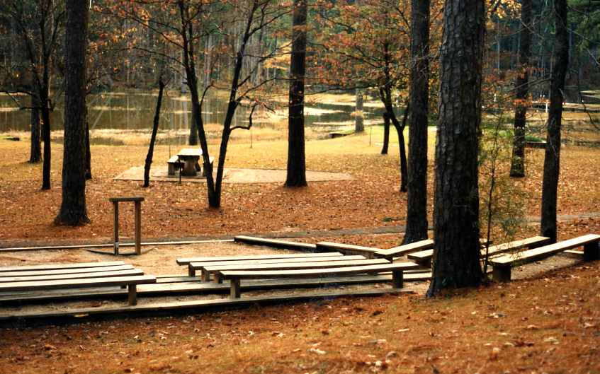 Locations Hub - Homochitto National Forest