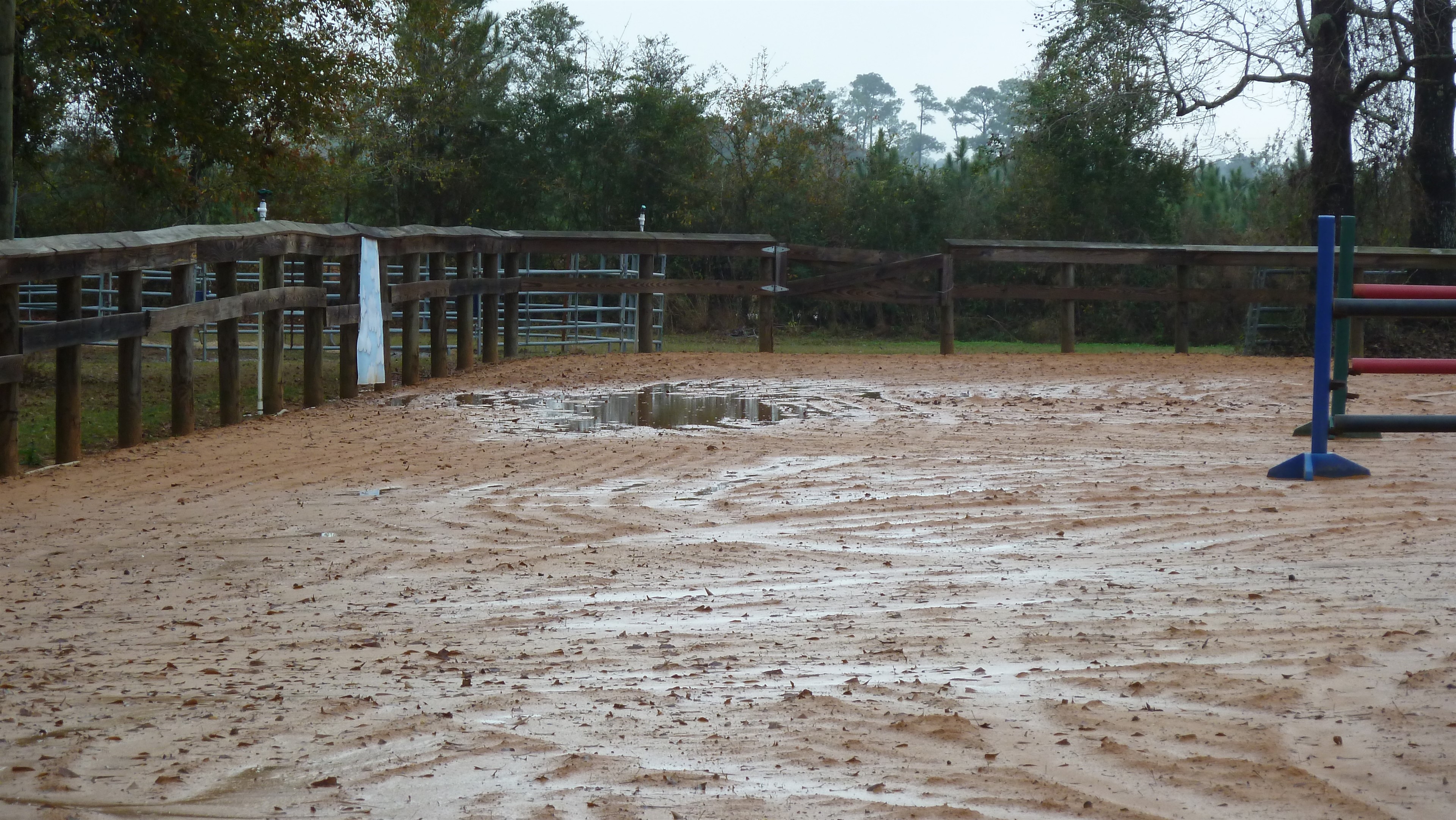 Locations Hub - Hillbrooke Stables