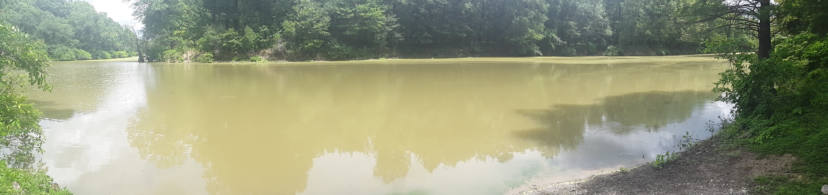 Locations Hub - Panther Swamp National Wildlife Refuge