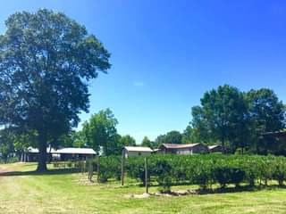 Locations Hub - Sandy Run Farm