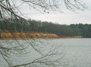 Locations Hub - Pickwick Lake