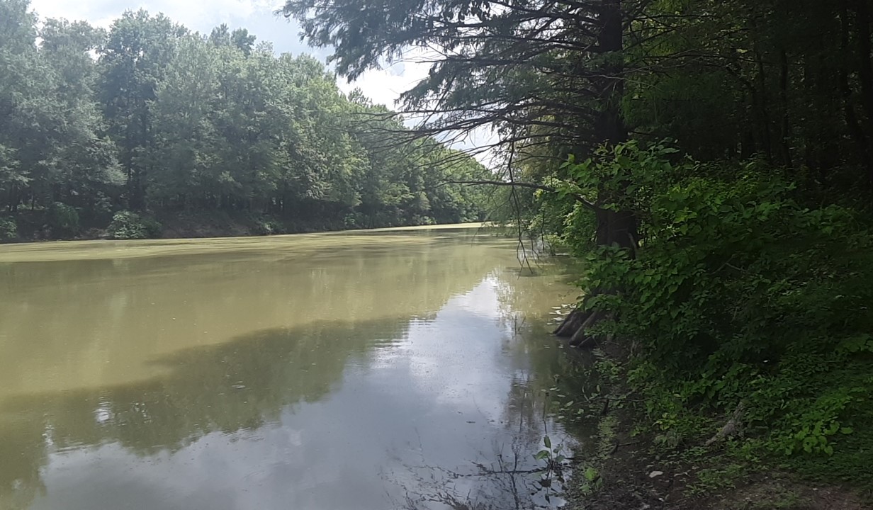 Locations Hub - Panther Swamp National Wildlife Refuge