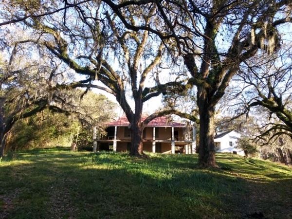 Locations Hub - Saragossa Plantation