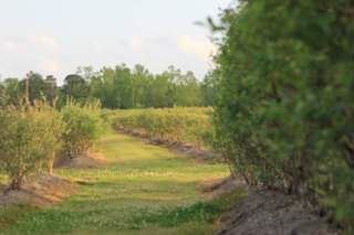 Locations Hub - Sandy Run Farm