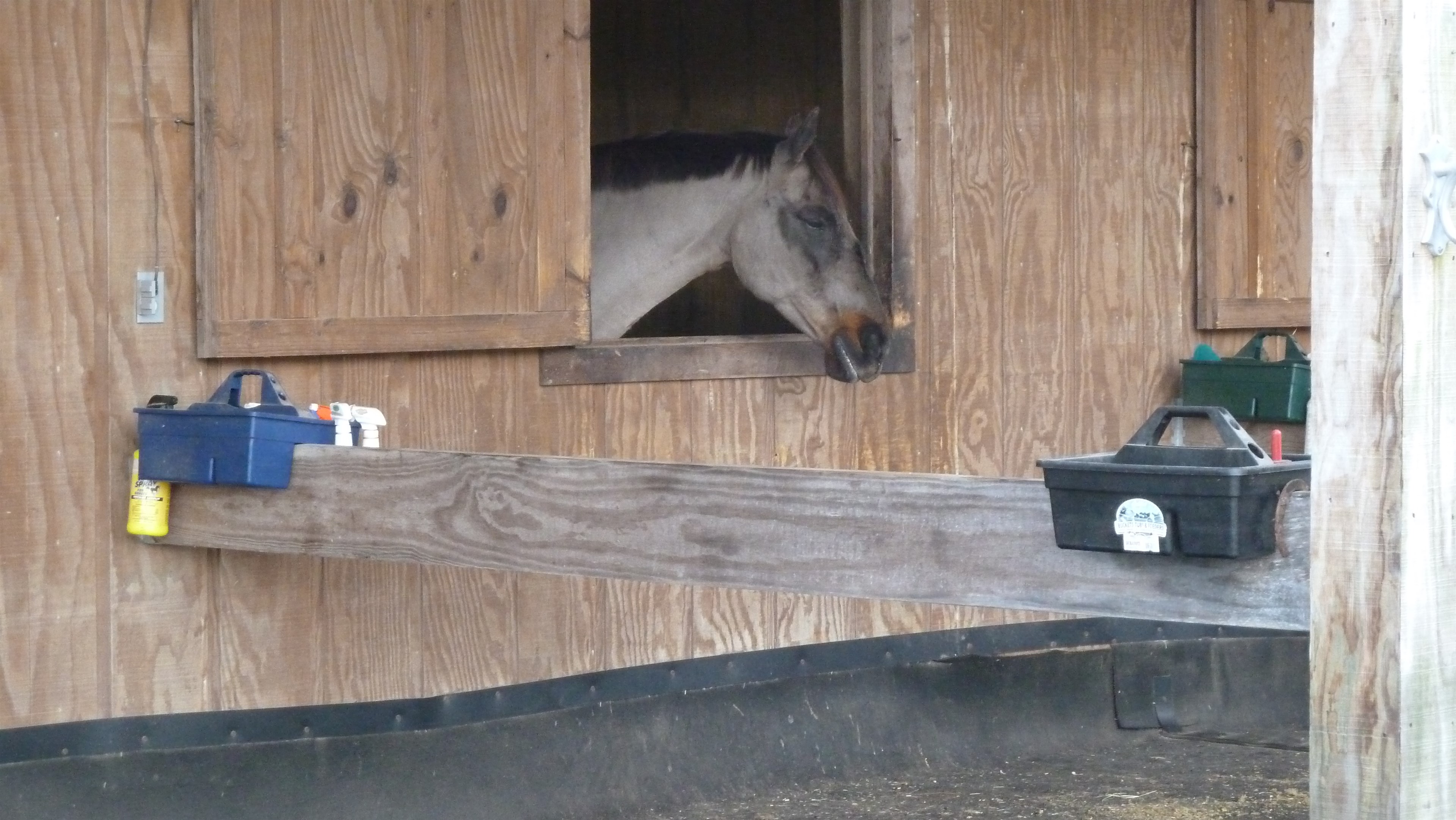 Locations Hub - Hillbrooke Stables