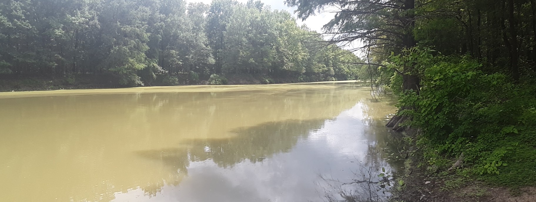 Locations Hub - Panther Swamp National Wildlife Refuge