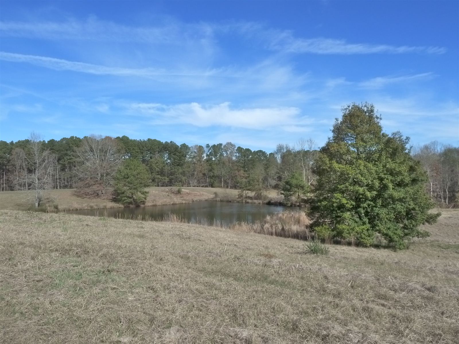 Locations Hub - Cooper Farms & Vineyard