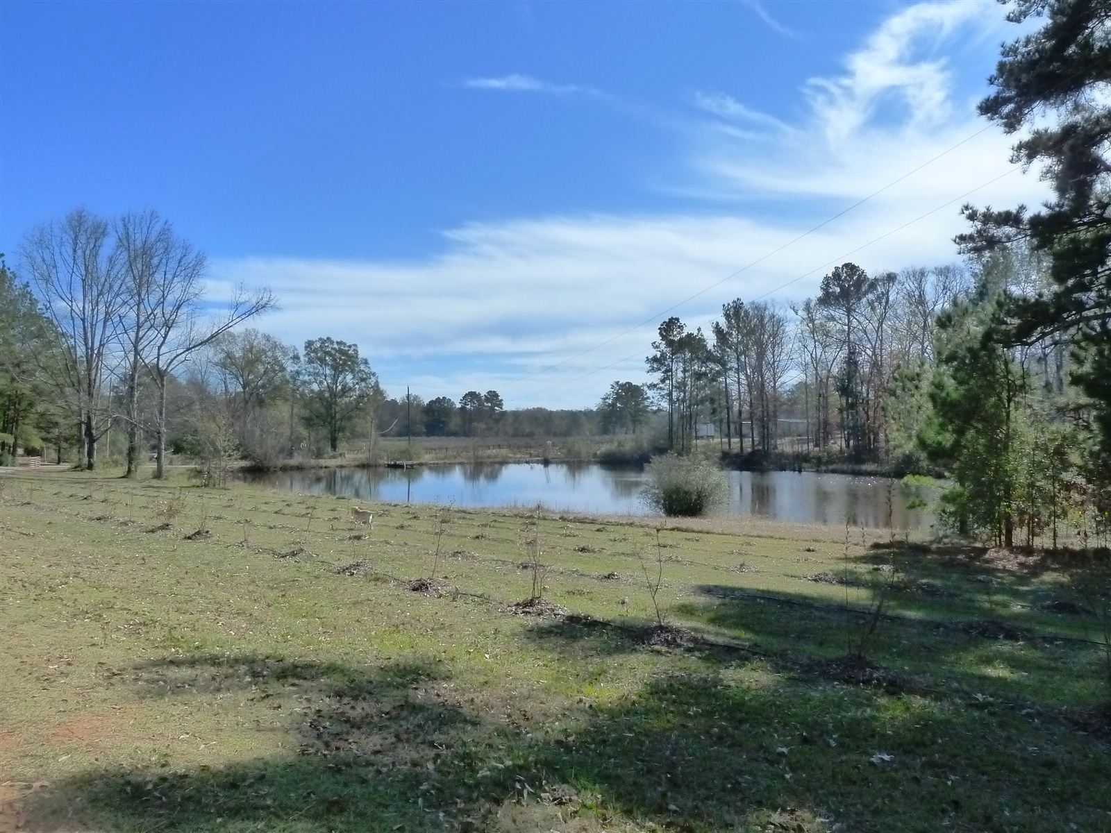 Locations Hub - Cooper Farms & Vineyard