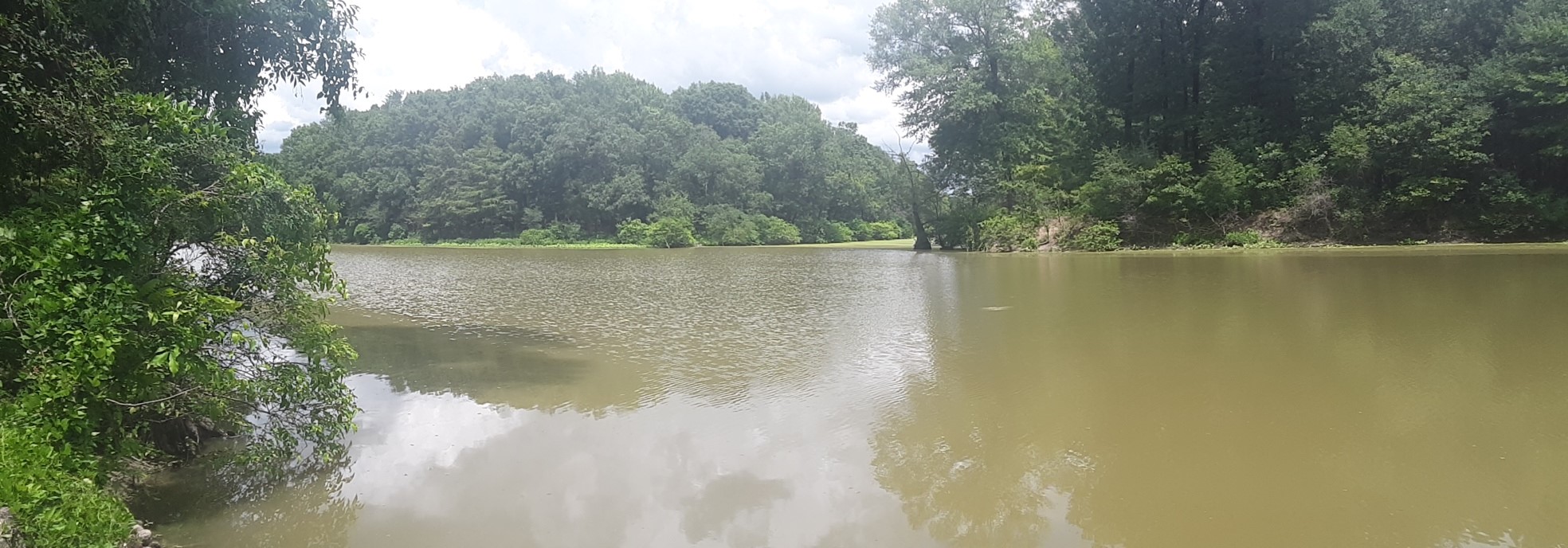 Locations Hub - Panther Swamp National Wildlife Refuge