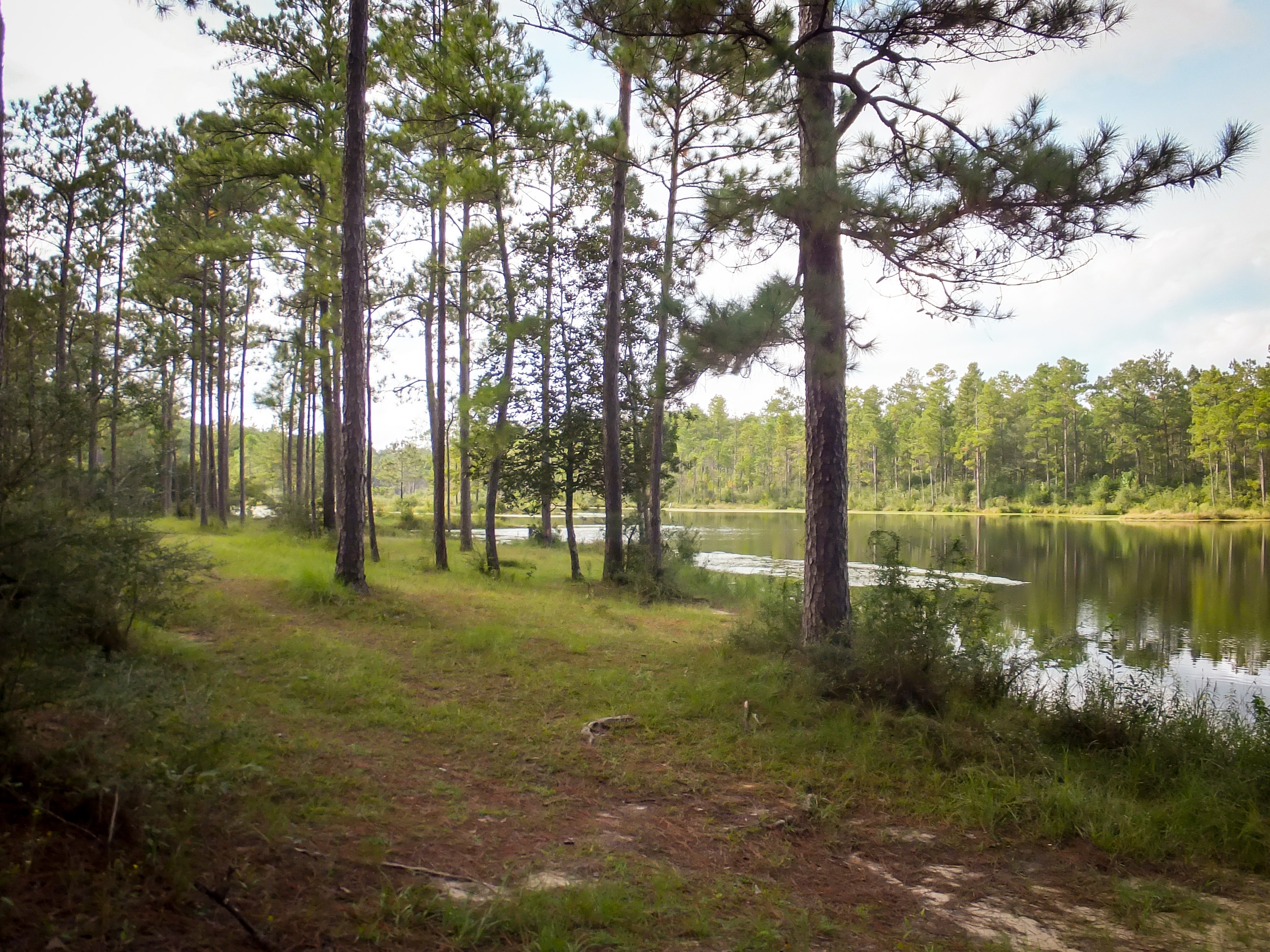 Locations Hub - DeSoto National Forest - Tuxachanie Trail & WW2 POW Camp