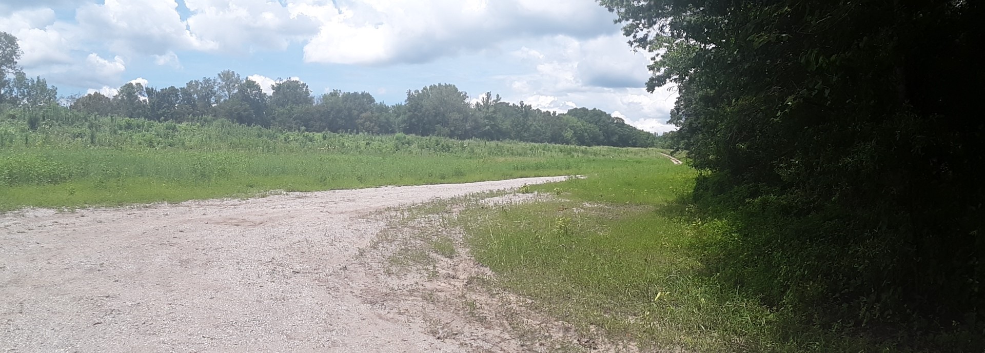 Locations Hub - Panther Swamp National Wildlife Refuge